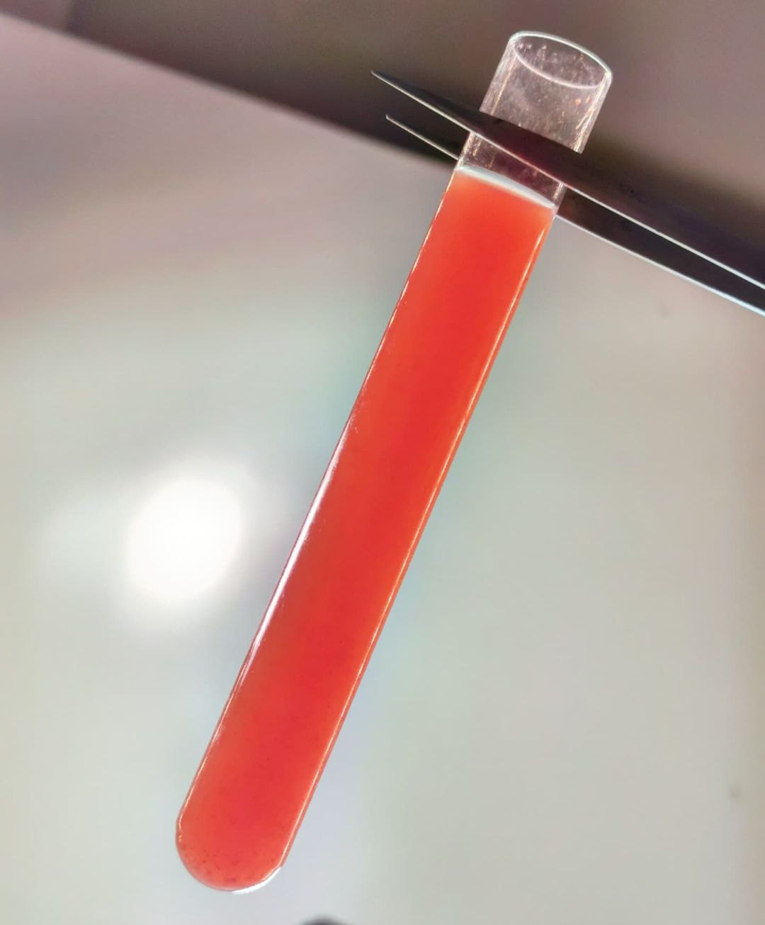 UFC - Watermelon Water - @sh1teater NZ snack reviews